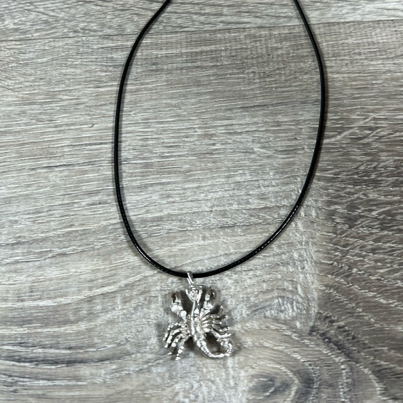 Jewelry | Vintage Silver Color Scorpion Bug Costume Jewelry Necklace ...